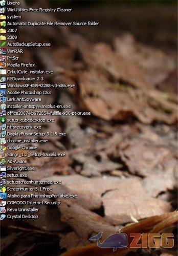 Download DeskView - Zigg