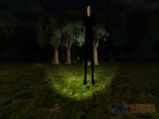 Download Slender Dark Forest - Zigg
